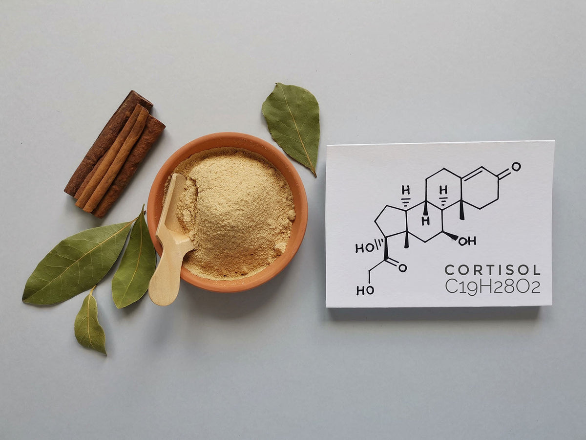 10 Tips For Cortisol Management & Support – Country Life Vitamins